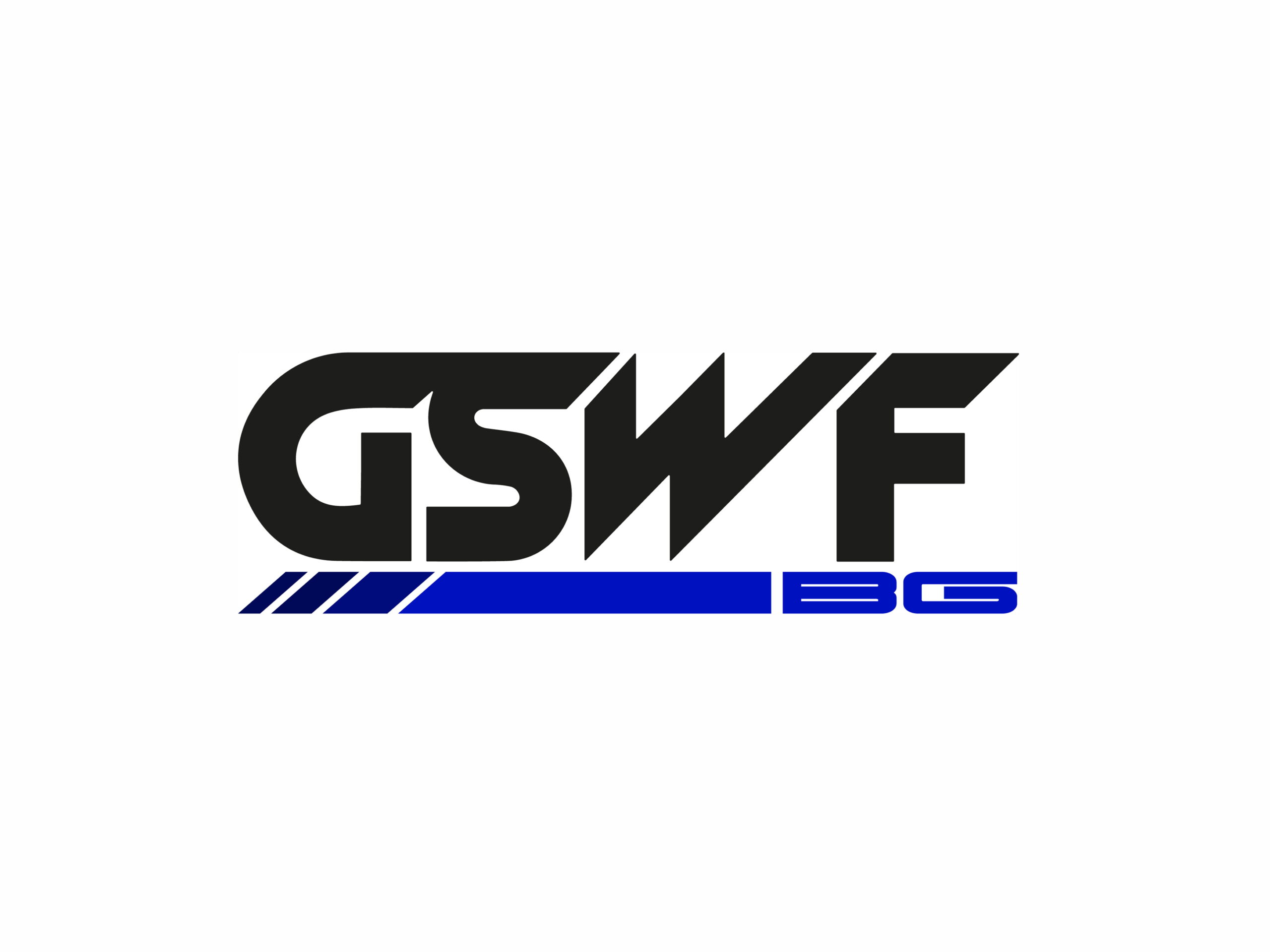 GSWF Defender Platinum PPF – доживотна защита и блясък за вашия ...